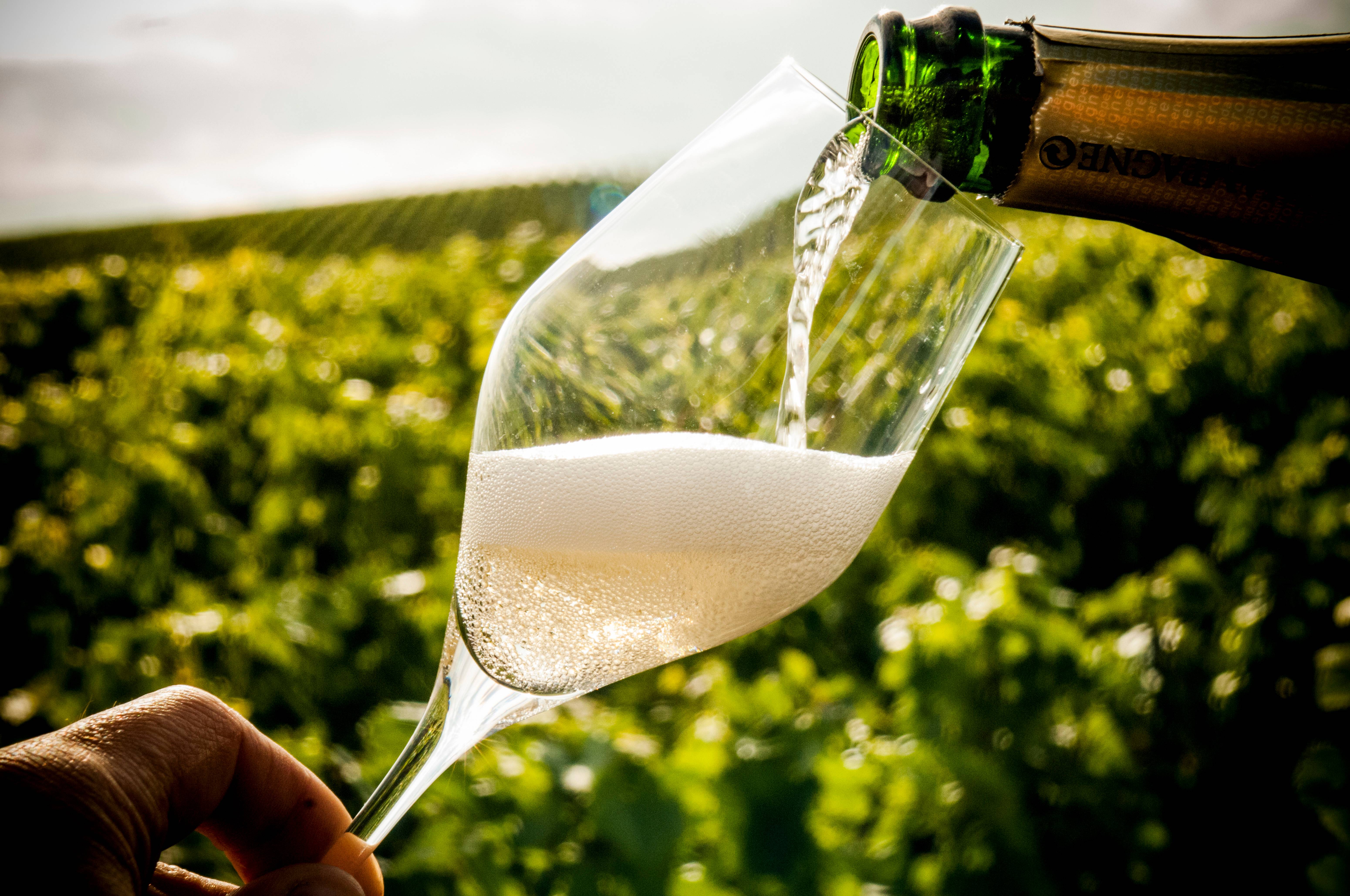 L’essentiel du Champagne en un clin d’œil | Champagne Education
